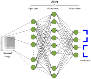 Beginner’s Guide to the world of ANN, CNN and RNN