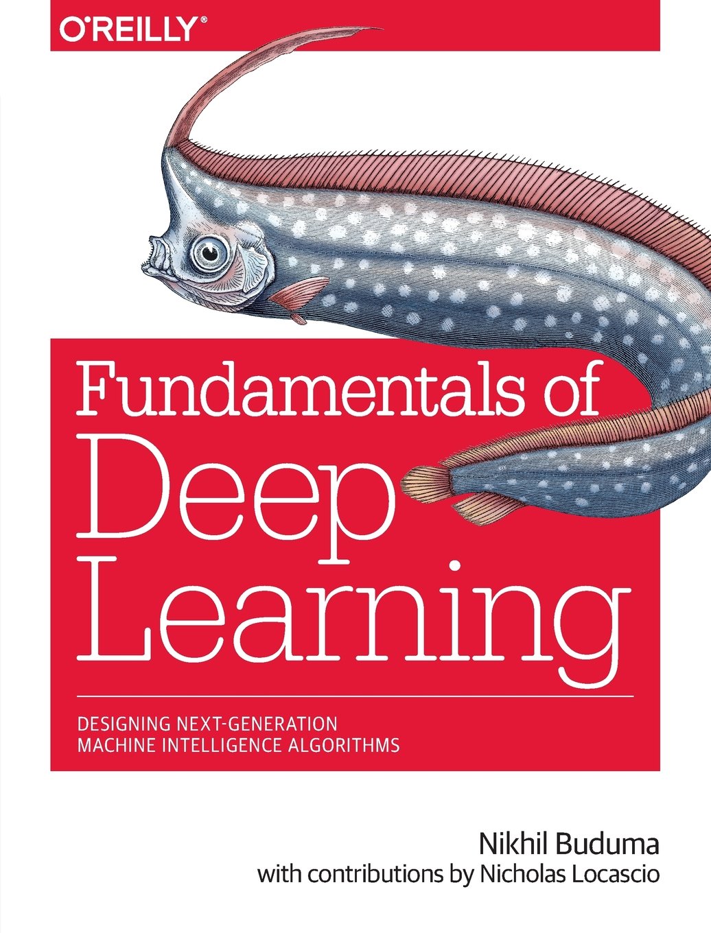 Fundamentals of Deep Learning - Accredian Blog